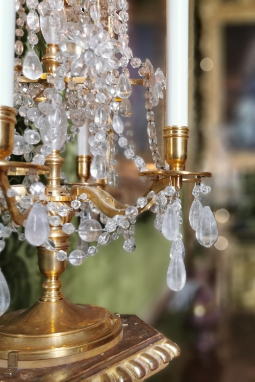 From Paris: Versailles Palace Private Half-Day Guided Tour - Real-World Insights and Review Snippets