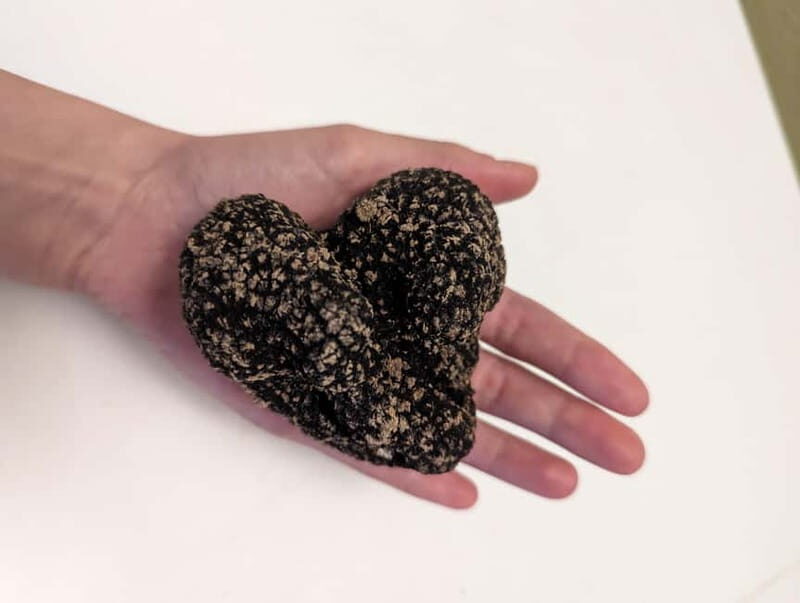 From Parma/Cinque Terre: Truffle Hunting Experience & Lunch - Authentic Italian Countryside in Just Three Hours