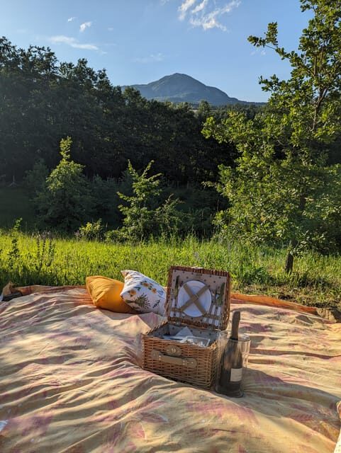 From Parma/Cinque Terre: Truffle & Parmesan Picnic (Tasting) - The Itinerary: What You Can Expect