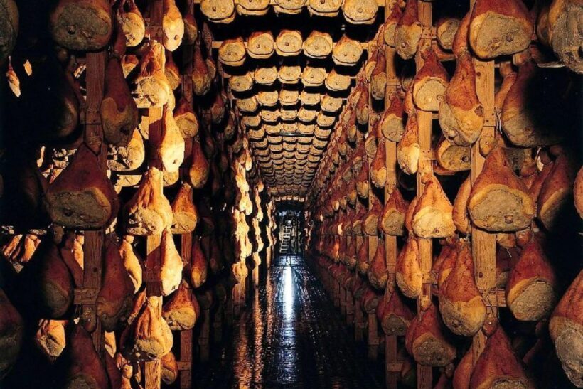 From Parma: Parmesan, Parma Ham & Balsamic Vinegar Tour - Exploring the Balsamic Vinegar Cellars