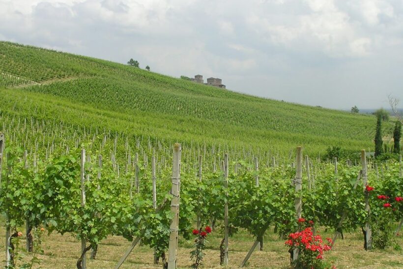 From Parma: Parmesan, Parma Ham & Balsamic Vinegar Tour - Practical Details & Transportation