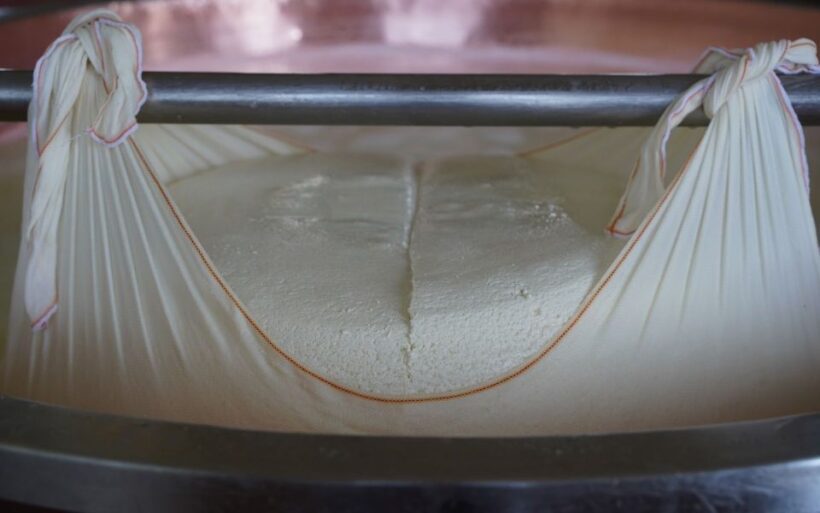 From Parma: Parmigiano and Parma Ham Guided Food Tour - Key Points