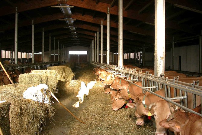 From Parma: Parmigiano Reggiano Farm Tour & Tasting With Transfer - Aging Room Experience