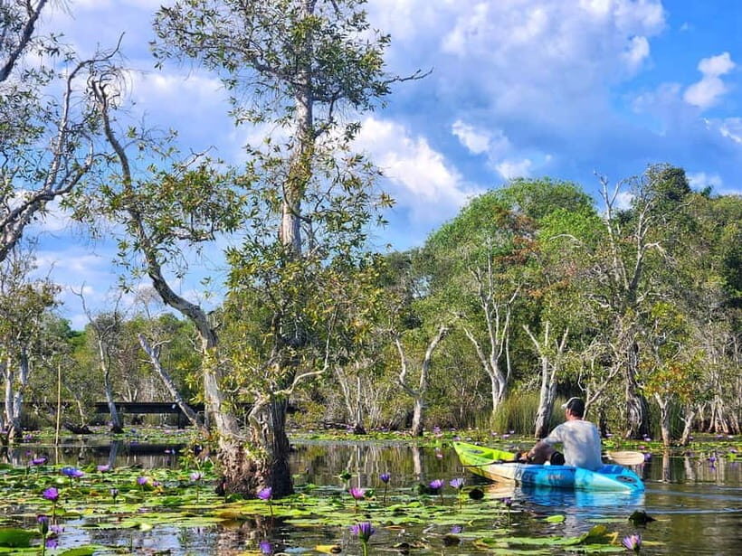 From Pattaya: Rayong Adventure Hike and Kayak Day Trip - Exploring Tung Prong Tongs Mangroves