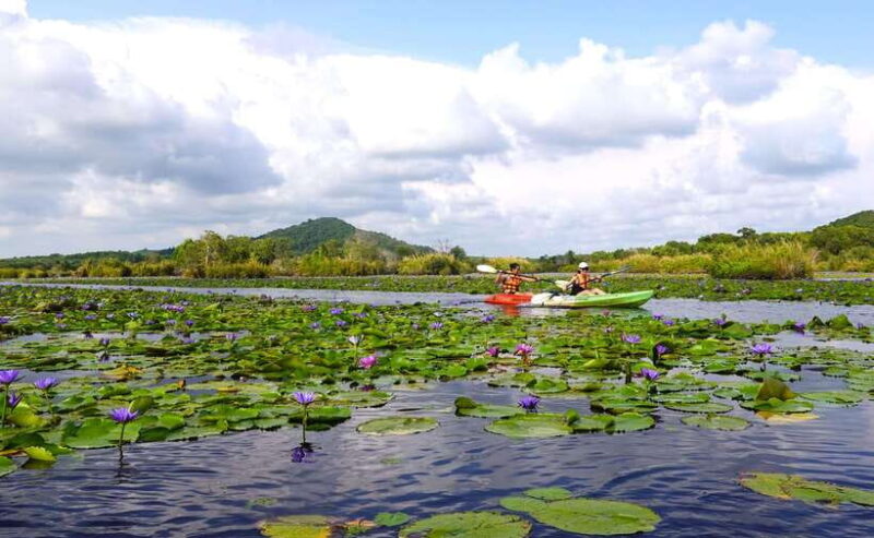 From Pattaya: Rayong Adventure Hike and Kayak Day Trip - Who Will Love This Tour?
