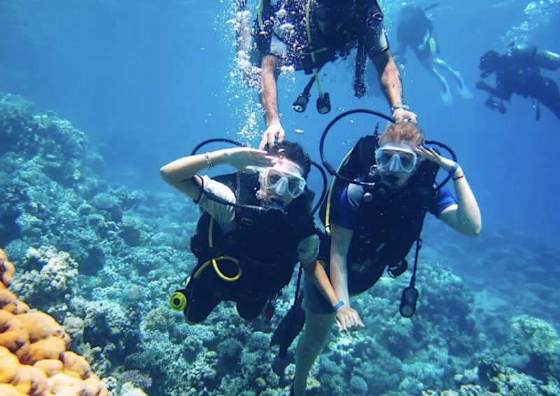 From Pattaya: Snorkeling or Beginner Scuba Diving Tour - Key Points