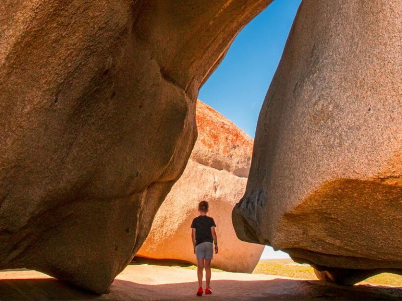 From Penneshaw: Kangaroo Island Sights and Wildlife Tour - Introduction