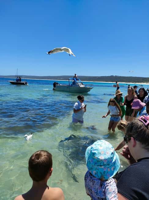 From Perth: Margaret River Region Impression Day Tour - Final Thoughts