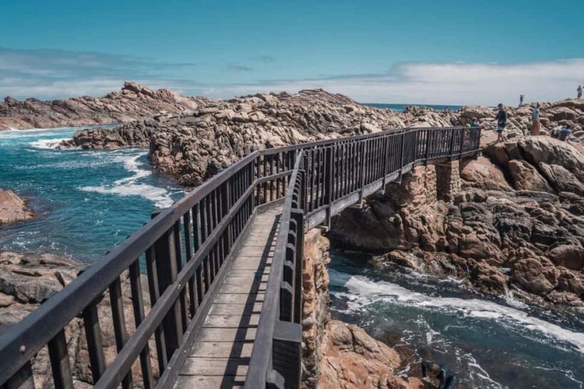 From Perth: Margaret River Wine Tour & Wildlife Cruise - Key Points