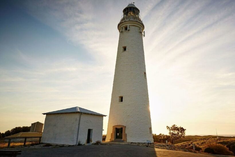 From Perth or Fremantle: Rottnest Island Ferry and Bus Tour - Who Is This Tour Best Suited For?