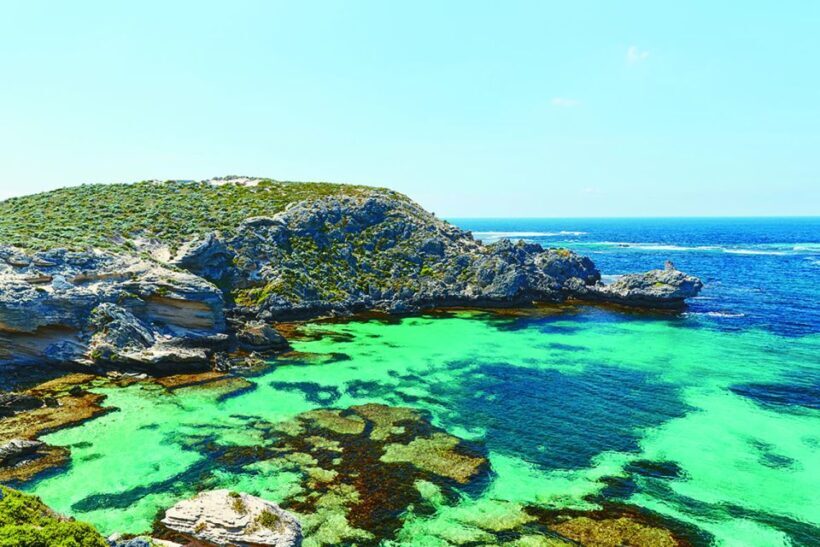 From Perth or Fremantle: Rottnest Island Seafood Cruise - What to Expect: A Step-by-Step Breakdown