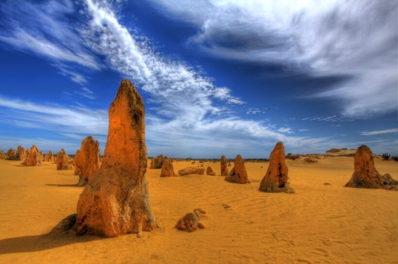 From Perth: Pinnacles Desert, Yanchep & Swan Valley Day Tour - Introduction