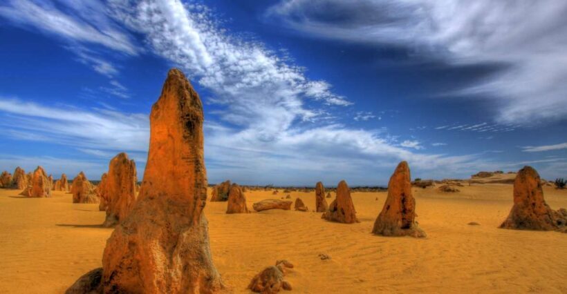 From Perth: Pinnacles Desert, Yanchep & Swan Valley Day Tour - Yanchep National Park: Wildlife and Morning Comforts