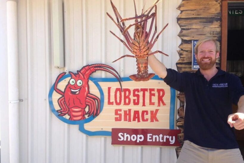 From Perth: Pinnacles Lobster Shack and Yanchep Day Trip - Key Points