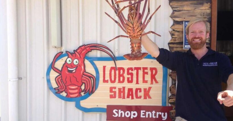 From Perth: Pinnacles Lobster Shack and Yanchep Day Trip - The Value of This Tour