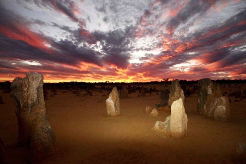 From Perth: Pinnacles Sunset and Stargazing Tour with Dinner - An In-Depth Look at the Experience