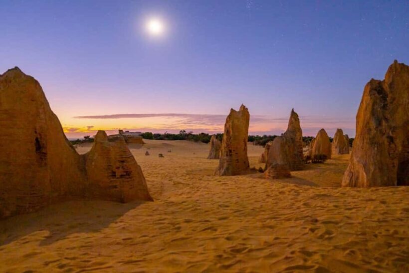 From Perth: Pinnacles Sunset and Stargazing Tour with Dinner - Authentic Reviews and Real Experiences