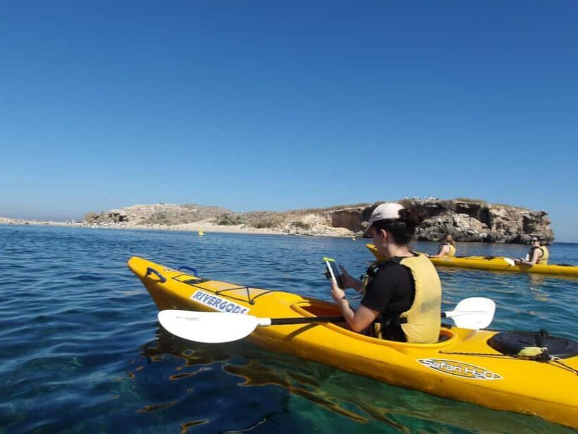 From Perth: Rockingham Seal & Penguin Islands Sea Kayak Tour - An Honest, Detailed Look at the Rockingham Seal & Penguin Islands Sea Kayak Tour