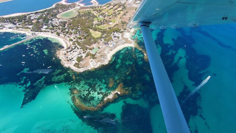 From Perth: Rottnest Grand Scenic Flight - Practical Tips for Potential Flyers