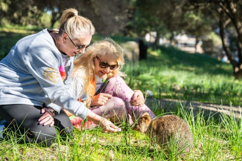 From Perth: Rottnest Island Full-Day Bike and Ferry Trip - The Itinerary: What to Expect on Your Day
