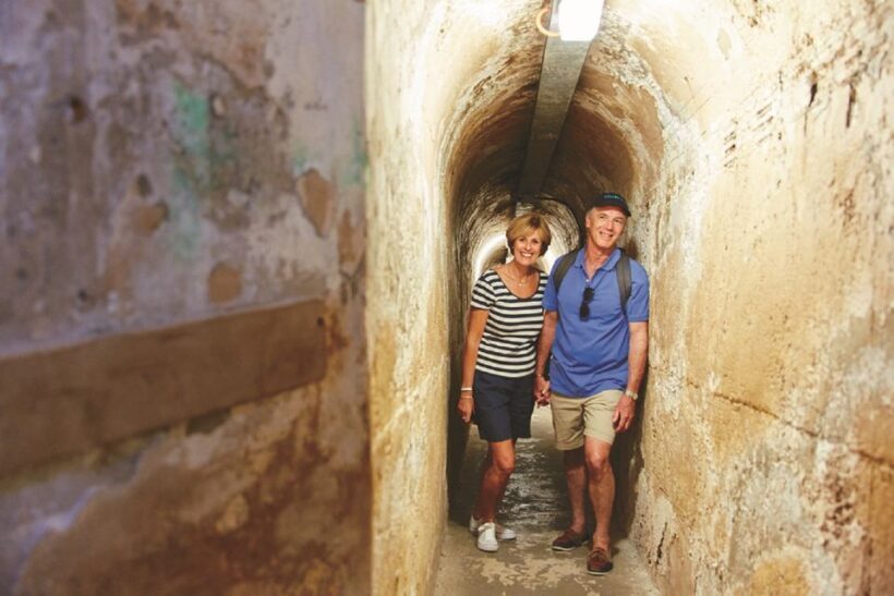 From Perth: Rottnest Island Grand Island Day Tour with Lunch - Key Points