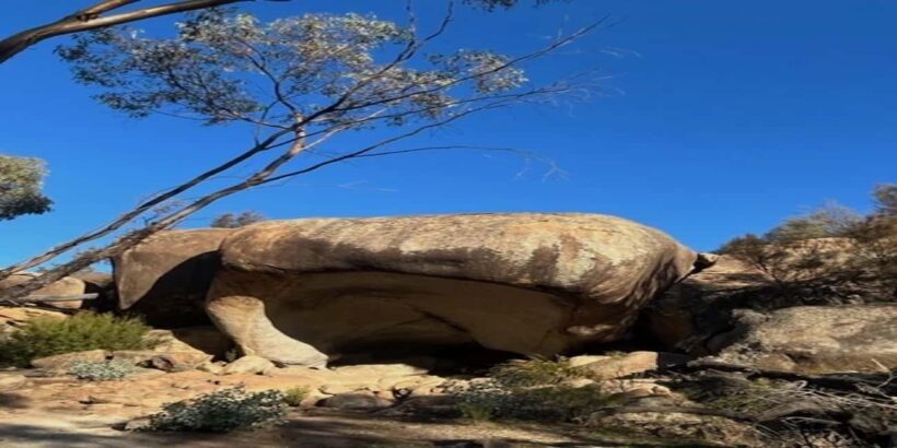 From Perth: Wave Rock Private Tour - The Tour Experience: Pros and Cons