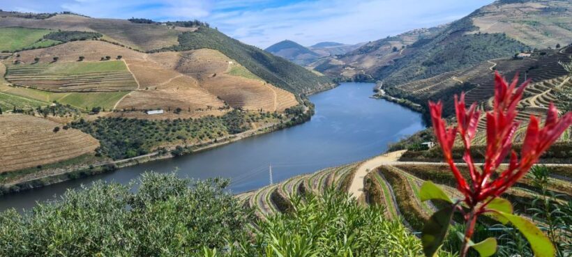From Peso da Régua: Visit 3 wineries, tasting and viewpoint - An In-Depth Look at the Tour