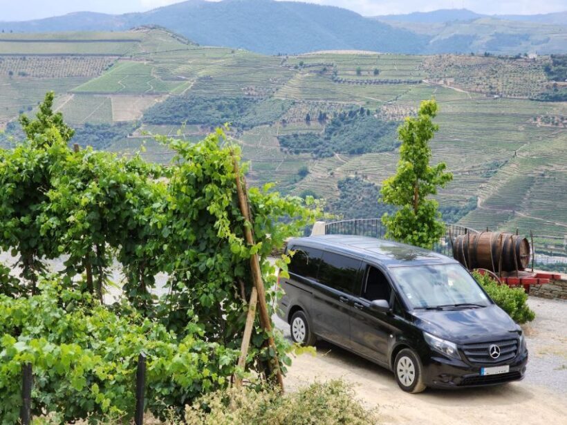 From Peso da Régua: Visit 3 wineries, tasting and viewpoint - Practical Details and Tips