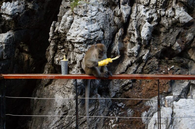 From Phi Phi: Full Day Longtail Tour Maya Bay & Snorkeling - Who Will Love This Tour?