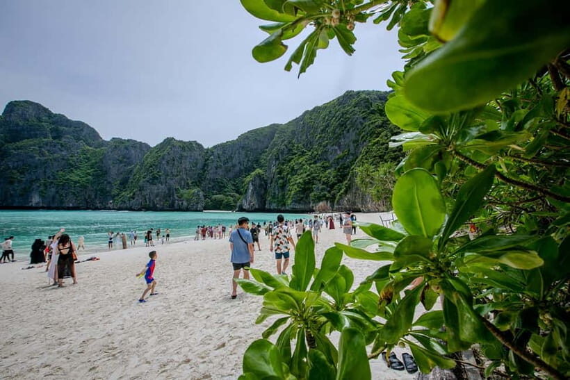 From Phi Phi: Half-Day Longtail Boat Tour to Maya Bay - The Practicalities & Tips