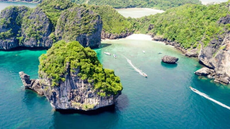 From Phi Phi: Half-Day Snorkeling Trip by Long Tail Boat - The Experience and its Value