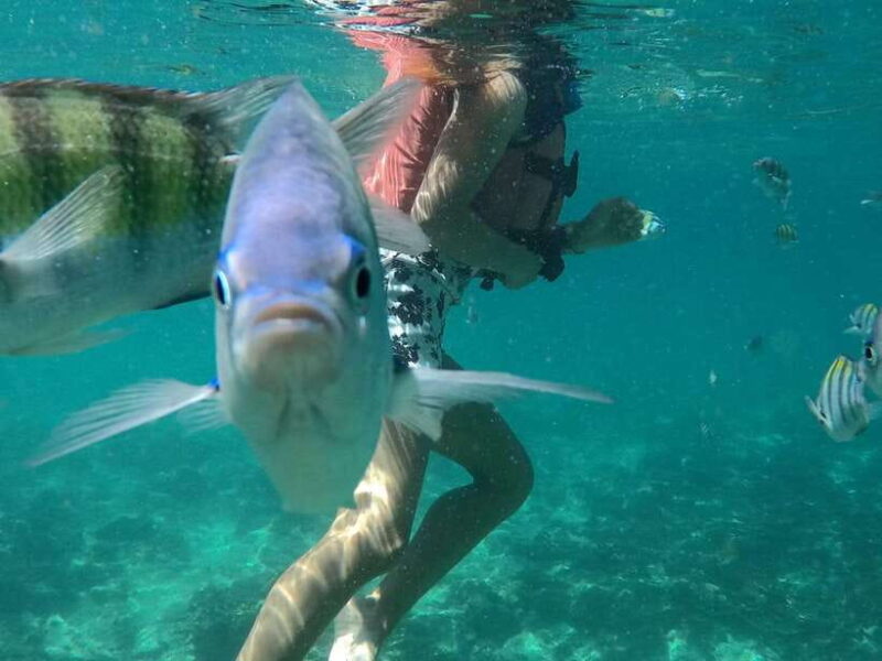 From Phi Phi Island :Half-day Tour by Longtail Boat - FAQ