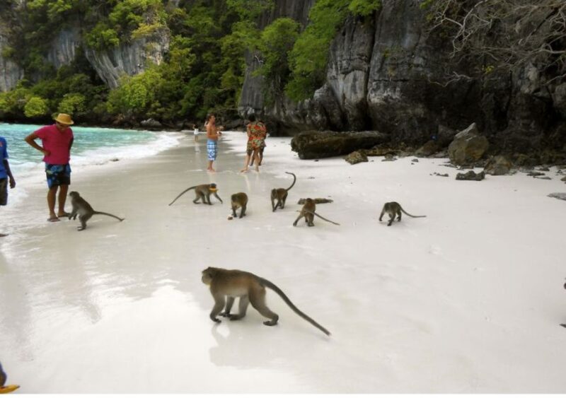 From Phi Phi: Private Full-Day Speed Boat Charter - Who Should Consider This Tour?