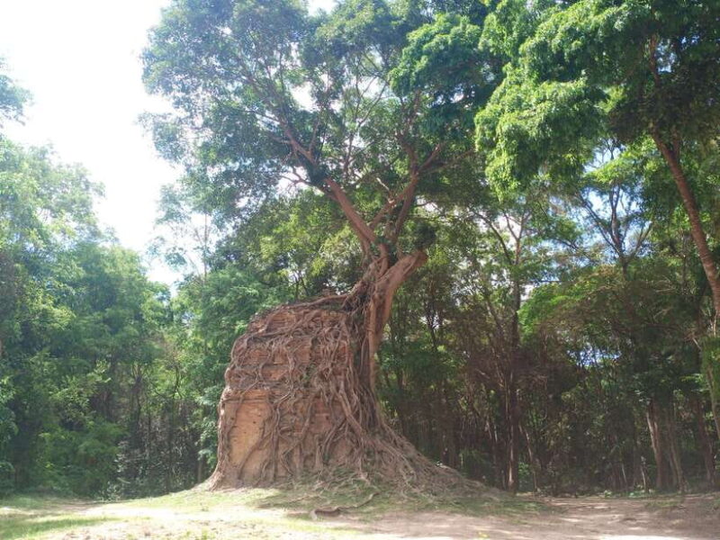 From Phnom Penh: 7-Day Private Tour to Siem Reap - FAQ