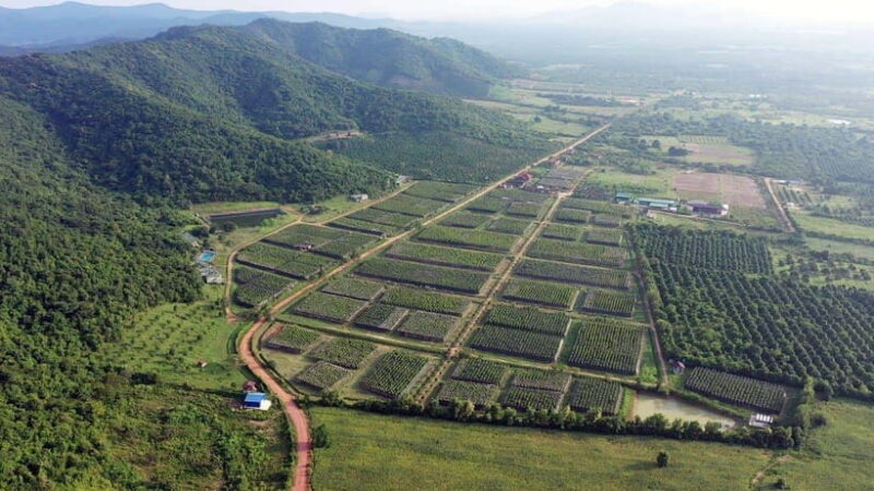 From Phnom Penh: Kampot Day Trip to Beautiful place W/ Guide - Potential Drawbacks or Considerations