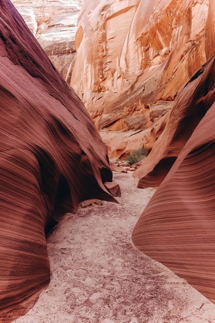 From Phoenix: Antelope Canyon and Horseshoe Bend Day Tour - Authenticity and Cultural Experiences