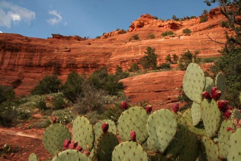 From Phoenix: Full-Day Sedona Small-Group Tour - Who Will Love This Tour?