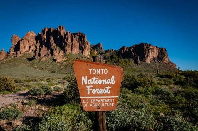 From Phoenix Private Offroad Sonoran Desert and Sunset Tour - Who Should Consider This Tour?
