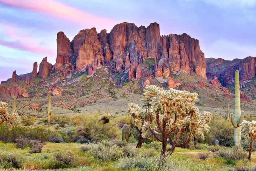 From Phoenix: Private Offroad Sonoran Desert and Sunset Tour - A Deep Dive into the Sonoran Desert Adventure