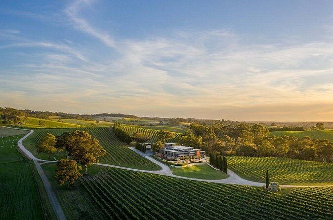 From Phoenix Private Vortex to Vineyard Tour - Who Is This Tour Best For?