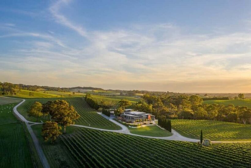 From Phoenix: Vortex to Vineyard Private Tour - Who Will Love This Tour?