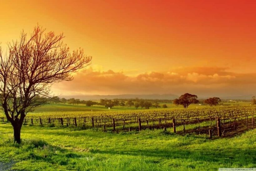 From Phoenix: Vortex to Vineyard Private Tour - Final Thoughts: Is It Worth It?