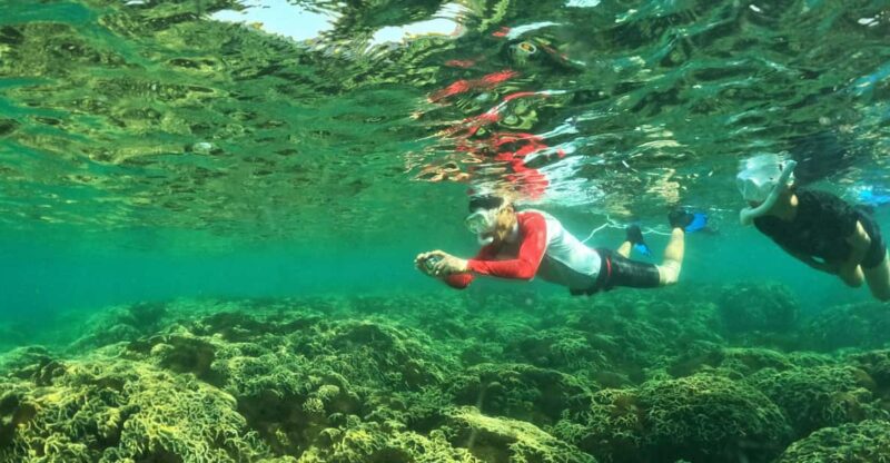 From Phu Quoc: Discover 4 Islands by Speedboat Full Day Tour - Final Thoughts: Is This Tour Right for You?