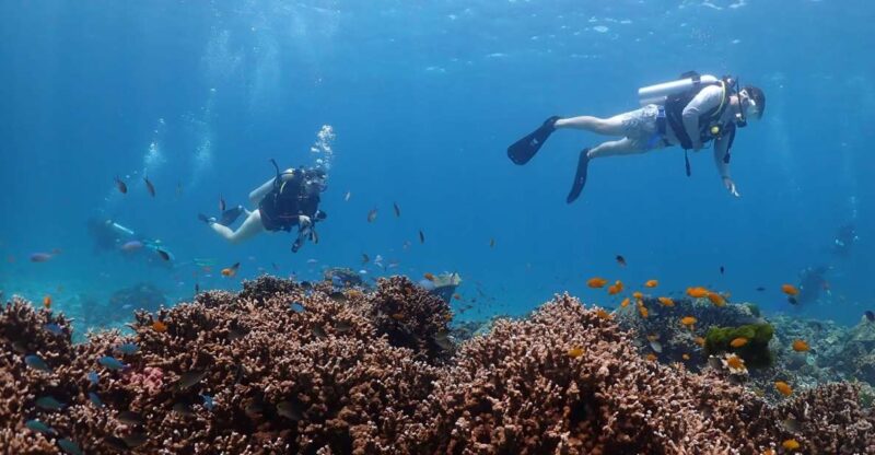 From Phuket: 3-Day SSI/PADI Open Water Diver Certification - Who Should Consider This Tour