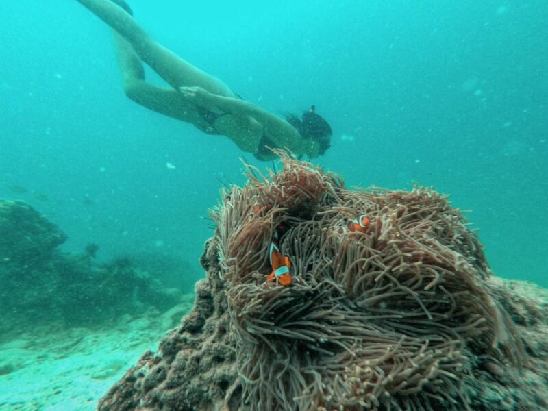 From Phuket: Coral Island Private Longtail Boat Tour - The Sum Up: Is It Worth It?