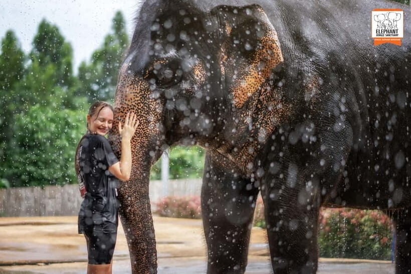 From Phuket: Elephant Jungle Sanctuary Feed and Shower Trip - The Itinerary: What to Expect from Start to Finish