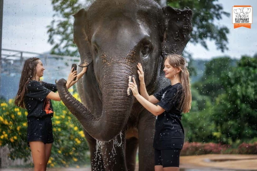 From Phuket: Elephant Jungle Sanctuary Feed and Shower Trip - FAQ