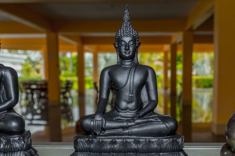 From Phuket: Elephant & Sea Turtle Conservation Private Tour - Authentic Experiences and Genuine Encounters