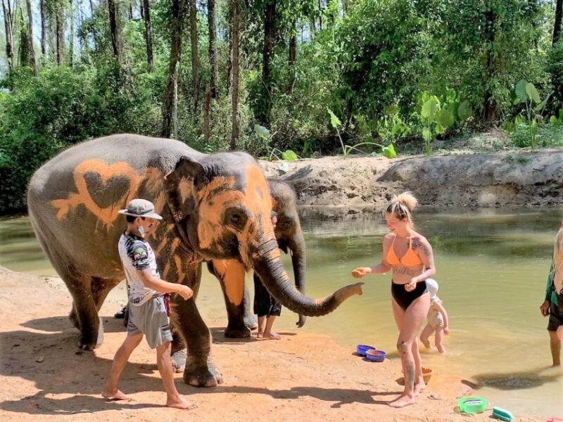 From Phuket: Elephant & Sea Turtle Conservation Private Tour - Who Will Love This Tour?