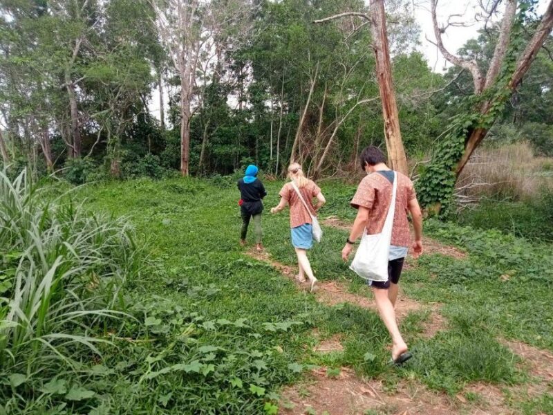 From Phuket: Ethical Elephant Interactive Trek and Tour - Key Points